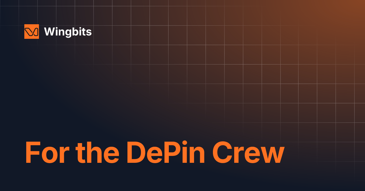 For the DePin Crew | Wingbits